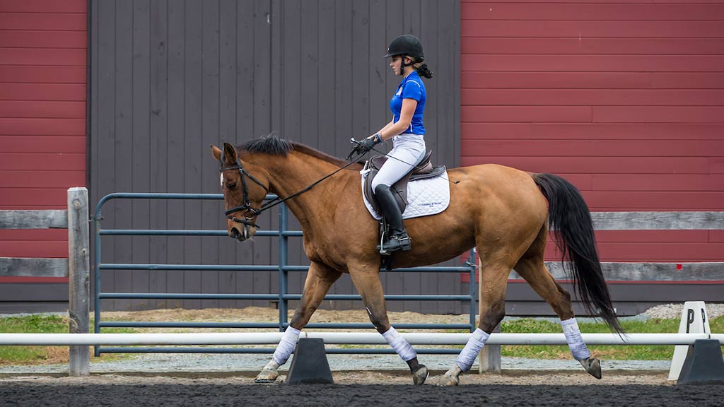 6 Unique JWU Spaces Our Students Love | Johnson & Wales University